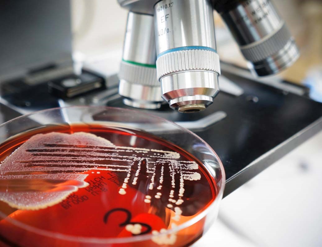 Home | Department of Pharmaceutical Microbiology