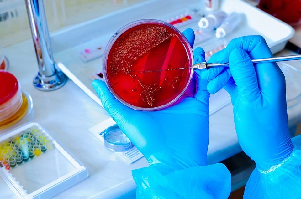 Home | Department of Pharmaceutical Microbiology